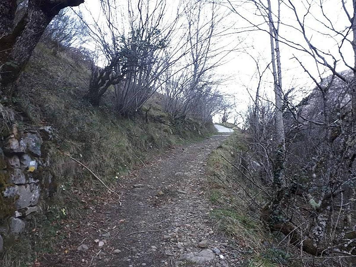 Fotos: Una caminata con encanto por la Ruta de Los Arrudos | El Comercio: Diario de Asturias